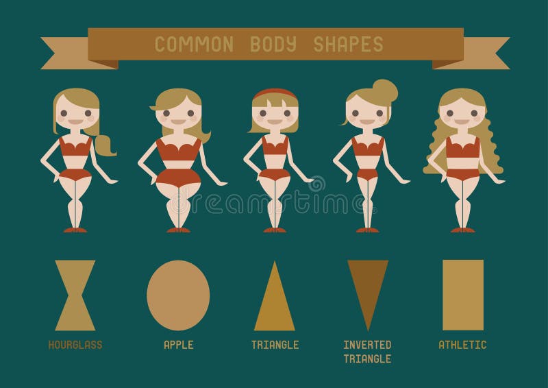 Female Body Shapes stock vector. Illustration of knickers - 33215588