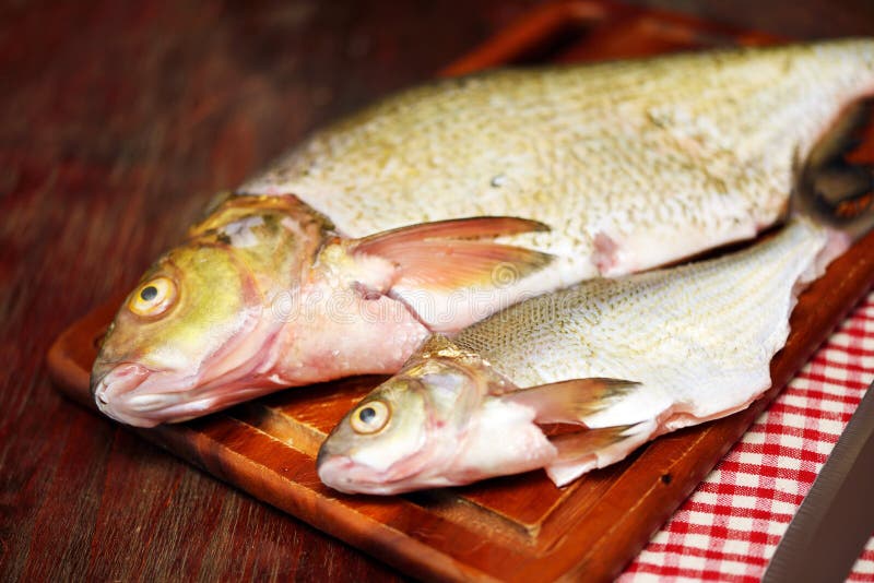Common bream stock photo. Image of eating, fresh, food - 33527970