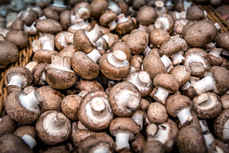 Common Brown Mushrooms Texture Stock Image - Image of agriculture ...