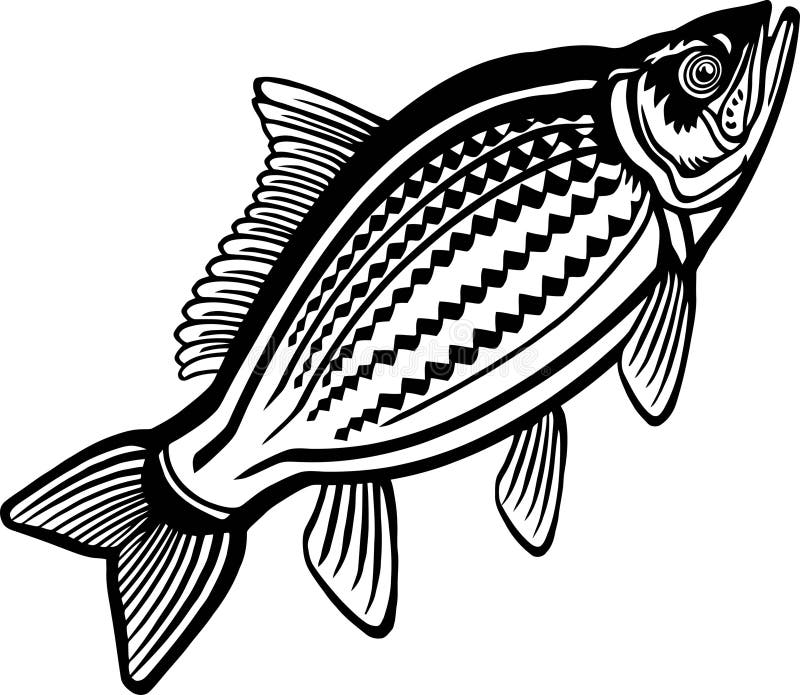 Common Carp - American Fishes - Logo Fish Stock Photo - Illustration of ...