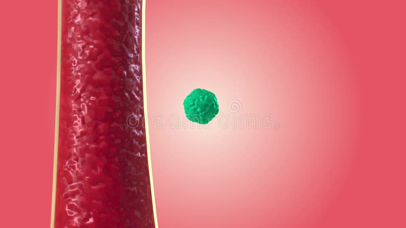 Common Cold Immune Response Rhinovirus Stock Footage - Video of world ... Common Cold Immune Response Rhinovirus Stock Footage - Video of world ...