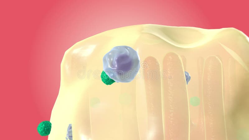 Common Cold Immune Response Rhinovirus Stock Footage - Video of world ... Common Cold Immune Response Rhinovirus Stock Footage - Video of world ...
