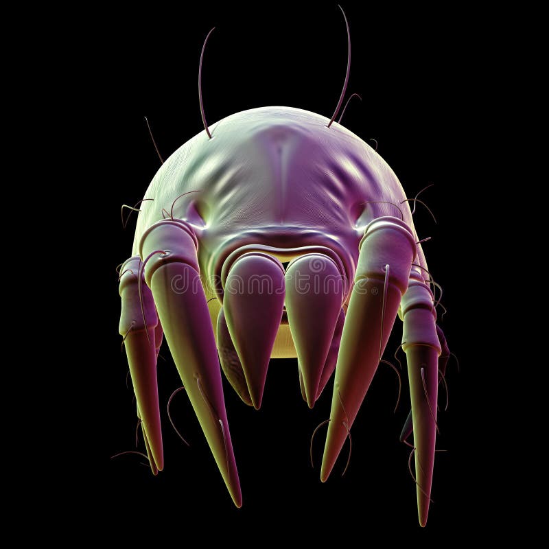 A common dust mite stock illustration. Illustration of immune - 59793266
