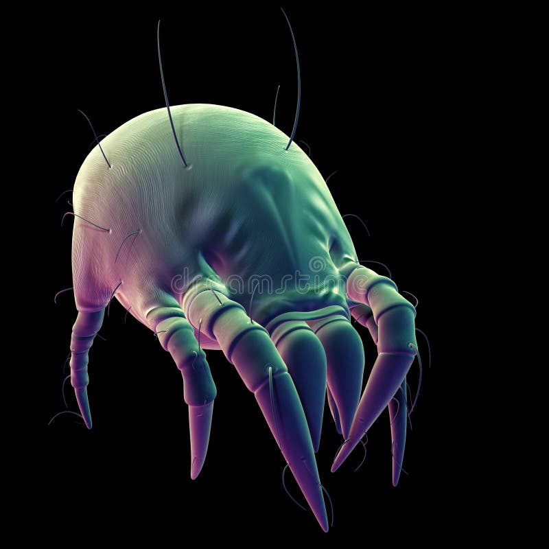 A common dust mite stock illustration. Illustration of monster - 59793278