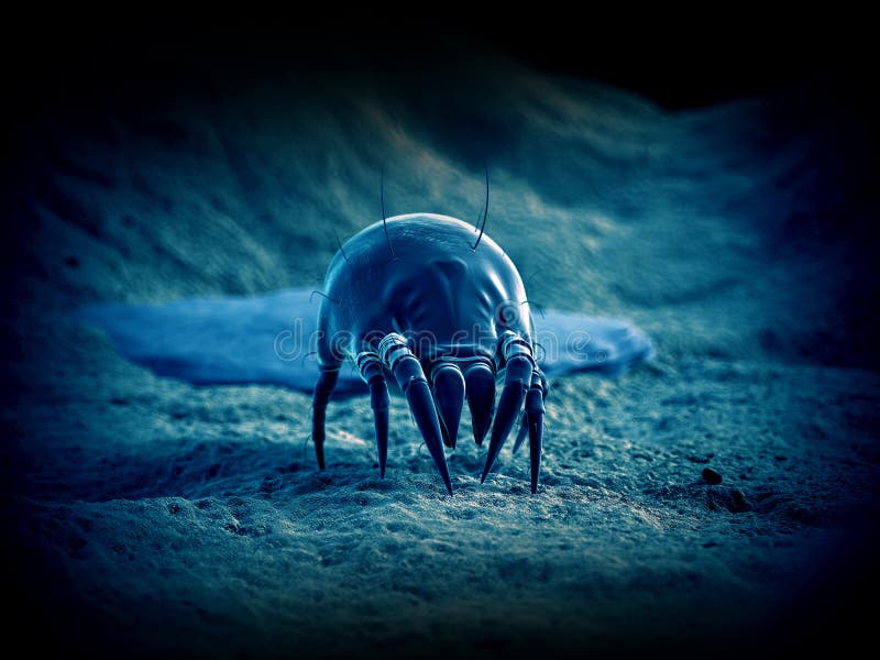 A common dust mite stock illustration. Illustration of asthma - 57843228