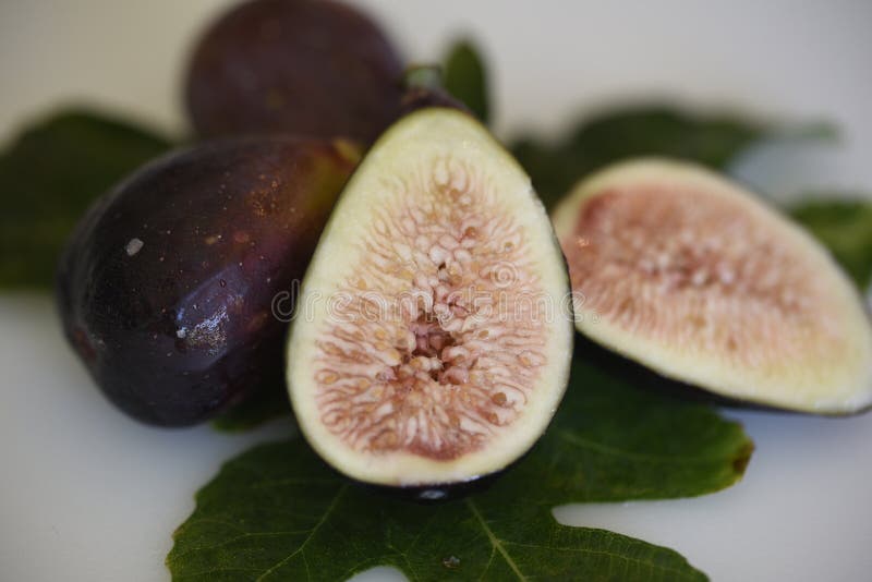 The common fig stock photo. Image of figs, organic, fiber - 76596688