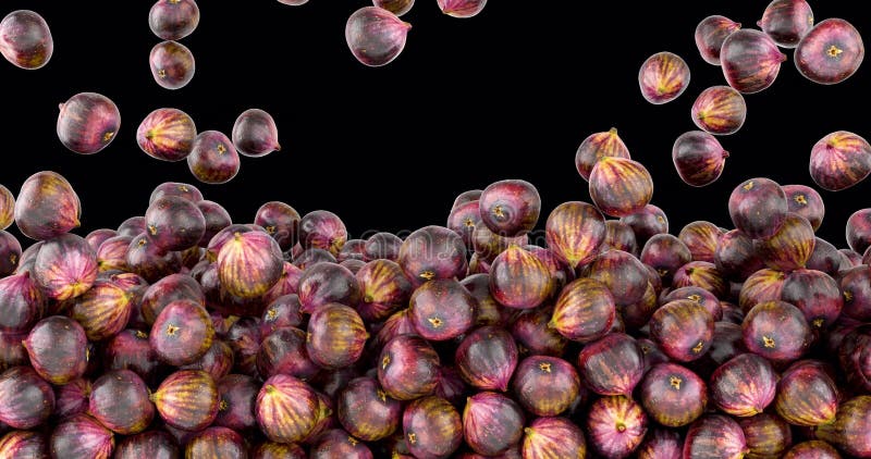 Common Figs with Realistic Texture Falling and Fill the Screen. 3D ...