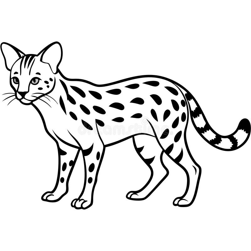 Common Genet Lynx Walks Icon Vector Stock Vector - Illustration of icon ...