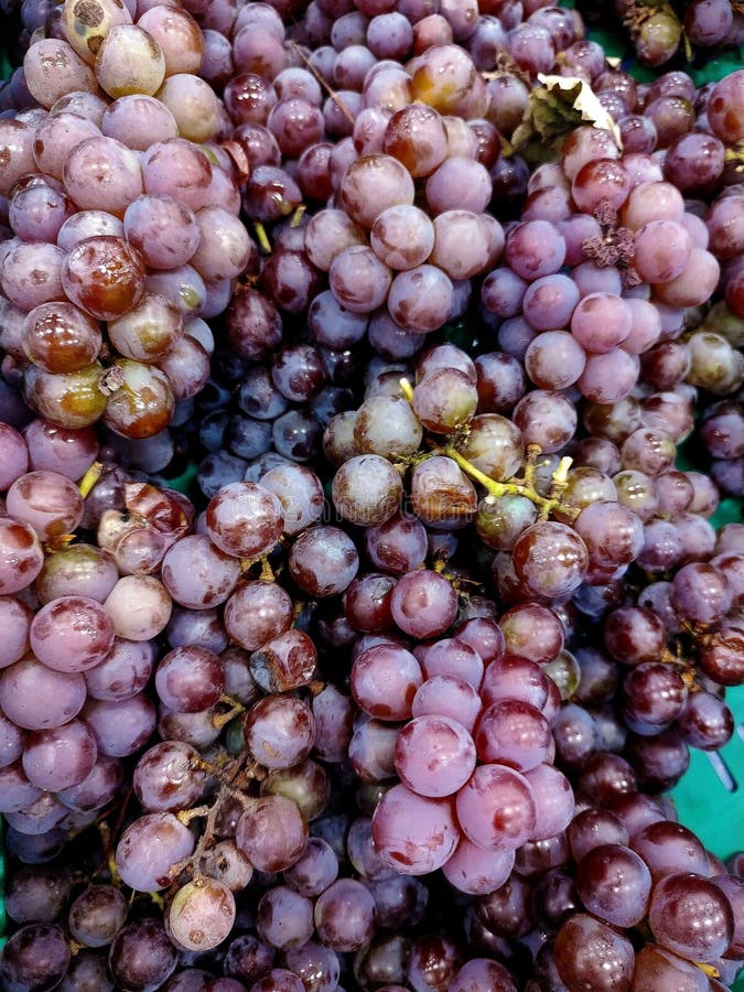 Common Grape of Natural and Organic Production Stock Image - Image of ...