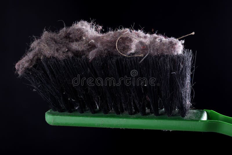 Common house dust stock photo. Image of dirt, allergic - 85901904