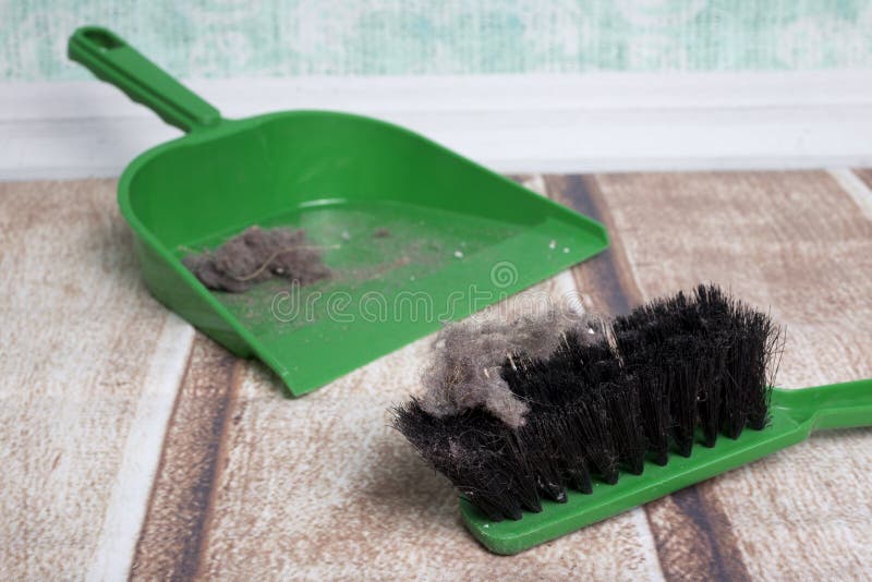 Common house dust stock image. Image of house, garbage - 85901727