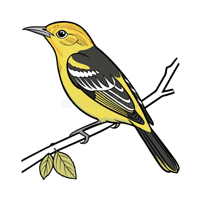 Common Iora Bird Colorful Artwork Stock Photo - Illustration of nature ...