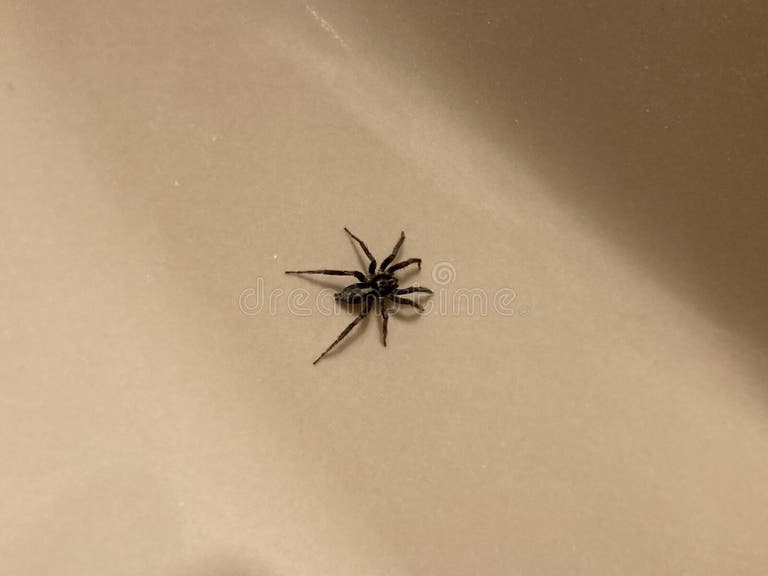 1,116 Name Eight Stock Photos - Free & Royalty-Free Stock Photos from ...