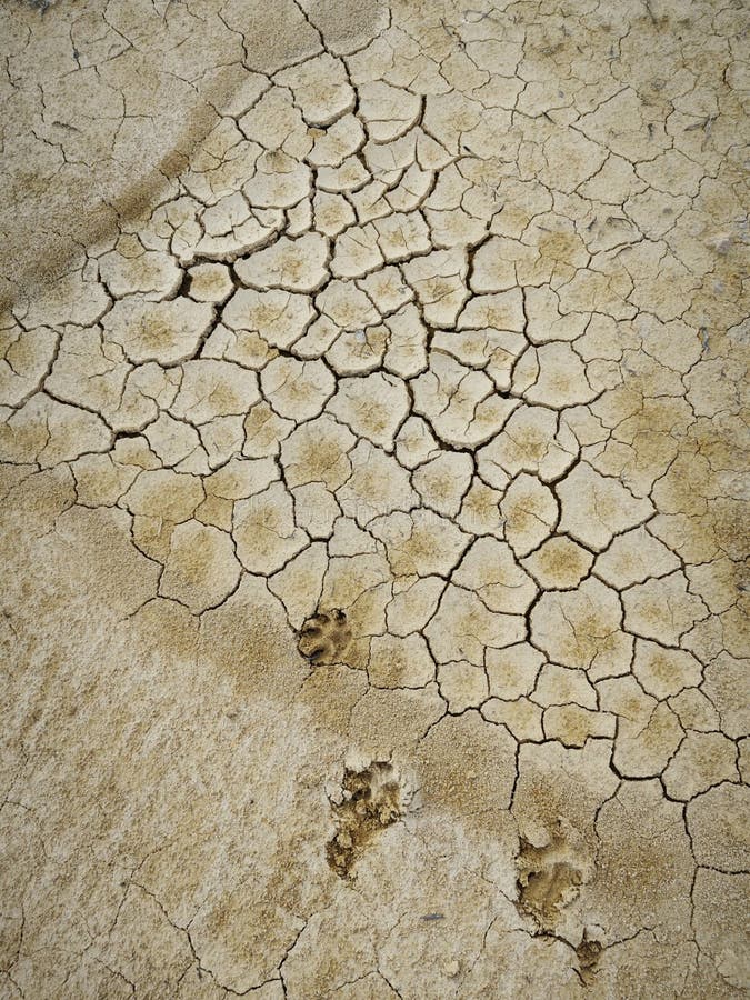 Common Natural Phenomenon on the Earth Surface Cracking. Stock Photo ...
