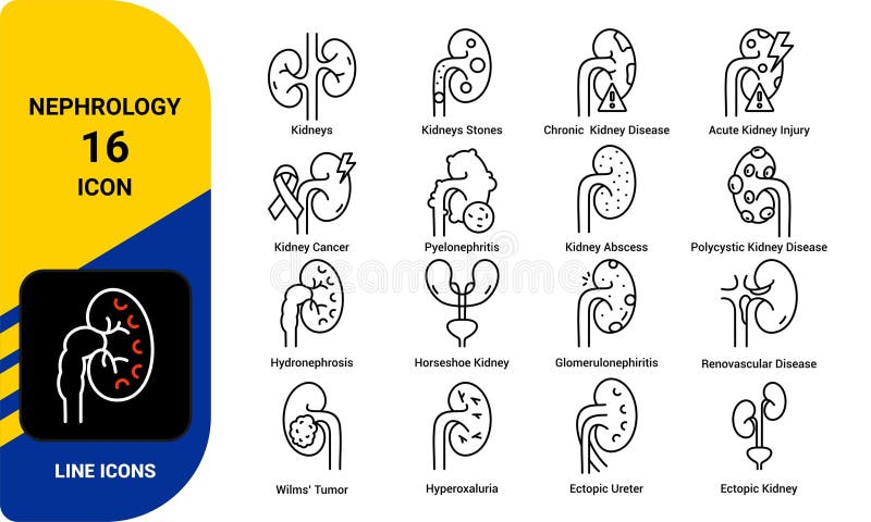 Common Nephrology Diseases Vector Icon Set Stock Illustration ...