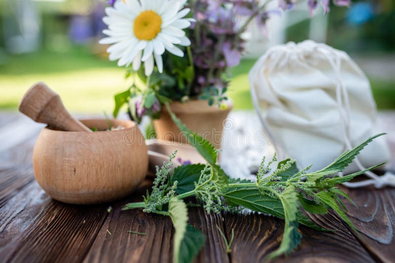 Common Nettle, Burn Nettle, Medicinal Herbs Near Mortar. Bag with Dried ...