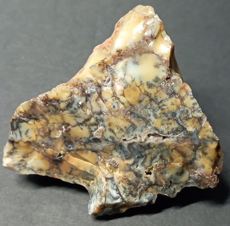 Common Opal Stock Illustrations – 4 Common Opal Stock Illustrations ...