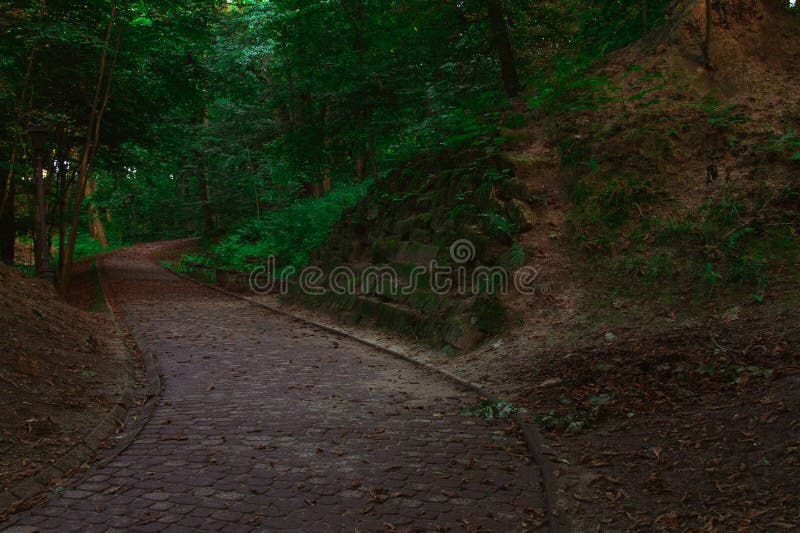 Common Park Trail Walking Space in Morning Dusk Along Old Decayed Stone ...