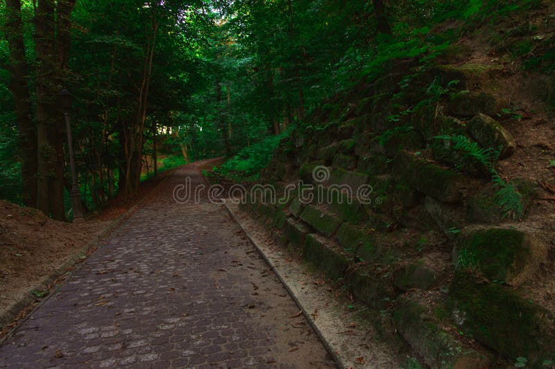 Common Park Trail Walking Space in Morning Dusk Along Old Decayed Stone ...