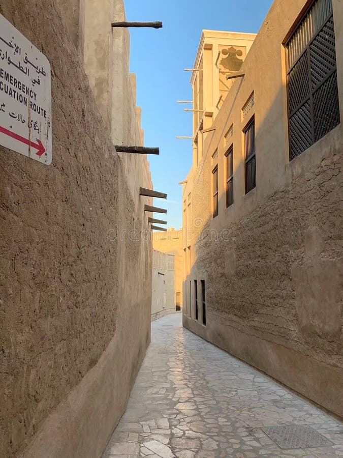 A narrow path editorial image. Image of plants, rock - 163209805