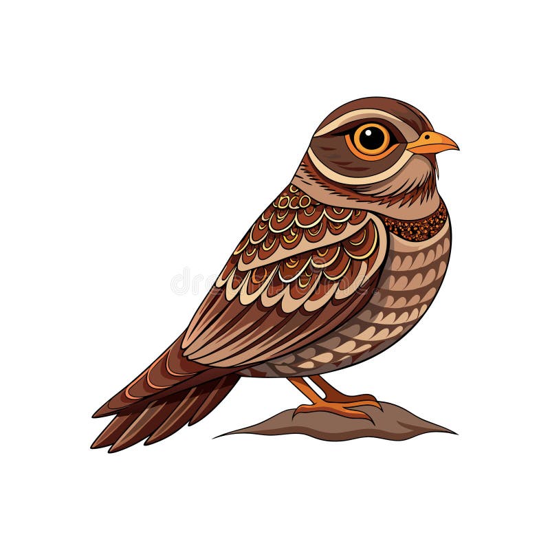 Common Poorwill Bird Realistic Art Stock Illustration - Illustration of ...
