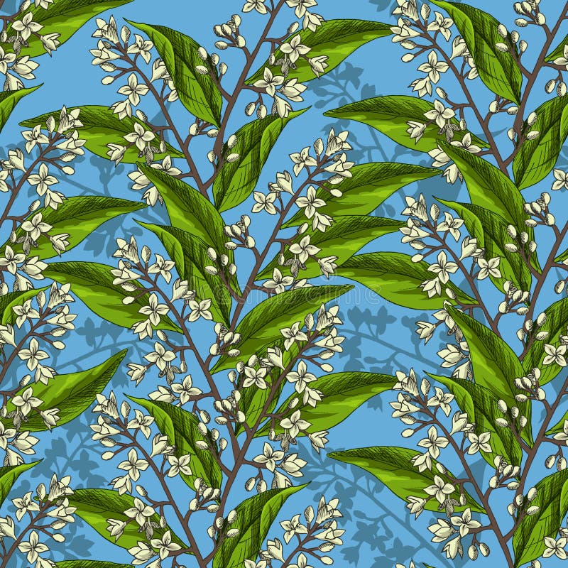 Common Privet Pattern Flowering Forest Seamless Pattern Stock Vector ...