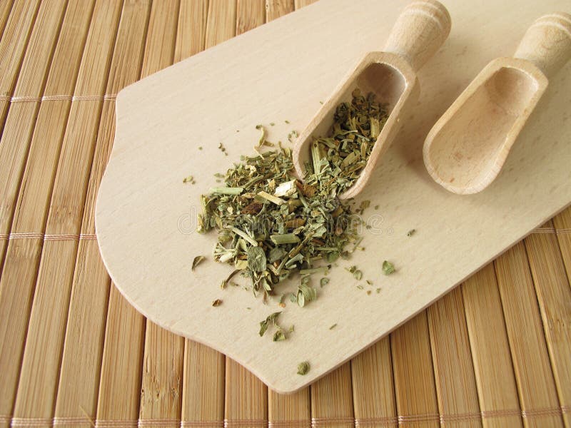 Common Rue Leaves, Rutae Herba Stock Photo - Image of graveolens, herb ...