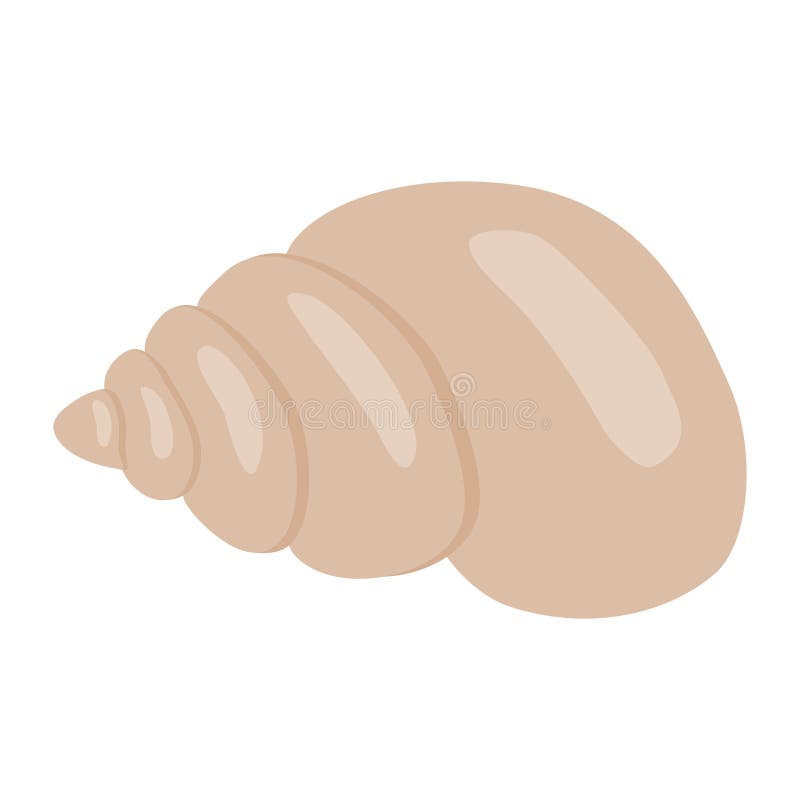 Common Sea Shell, Summertime Design Element Flat Vector Stock Vector ...