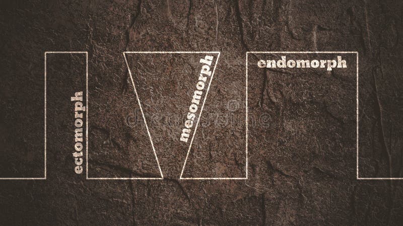 Endomorph Body Stock Photos - Free & Royalty-Free Stock Photos from ...