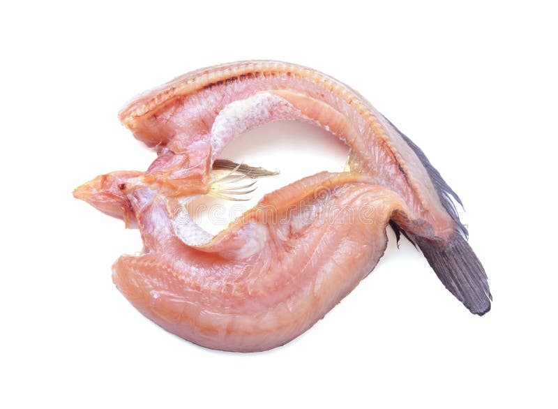 Common Snakehead, Chevron Snakehead, Striped Snakehead(Channa St Stock ...