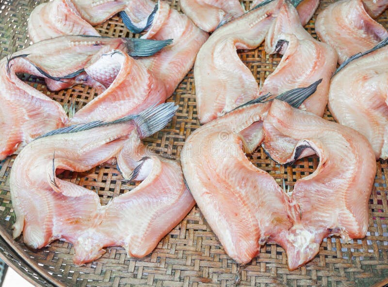 Snakehead Fish Fillet Stock Photos - Free & Royalty-Free Stock Photos ...