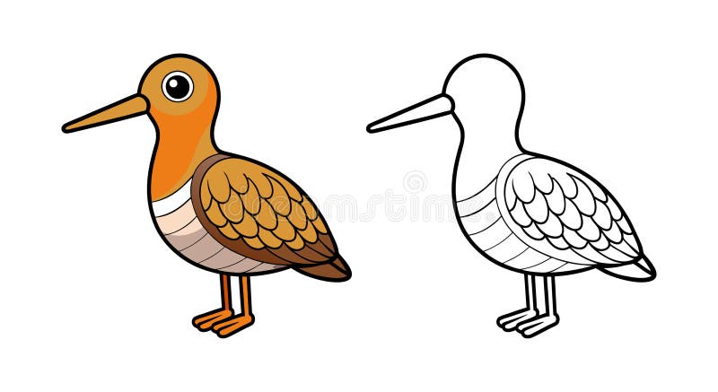 Common Snipe Bird Colorful Artwork Stock Vector - Illustration of ...