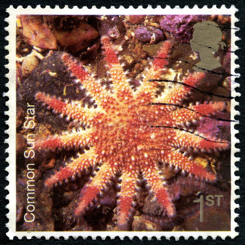 Common Sun Star UK Postage Stamp Editorial Photo - Image of mail ...