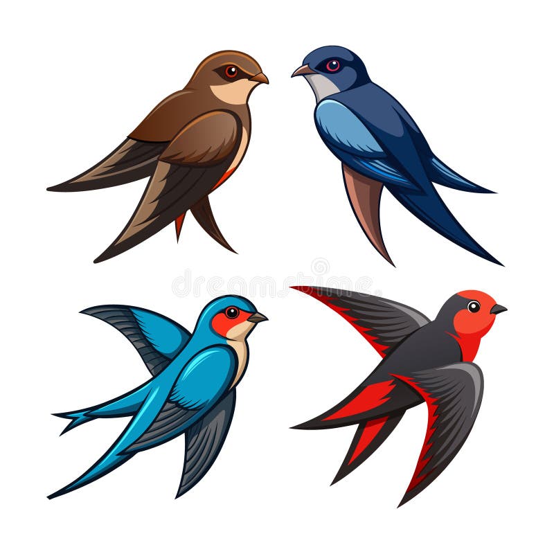 Common Swift Bird Realistic Illustration Stock Vector - Illustration of ...