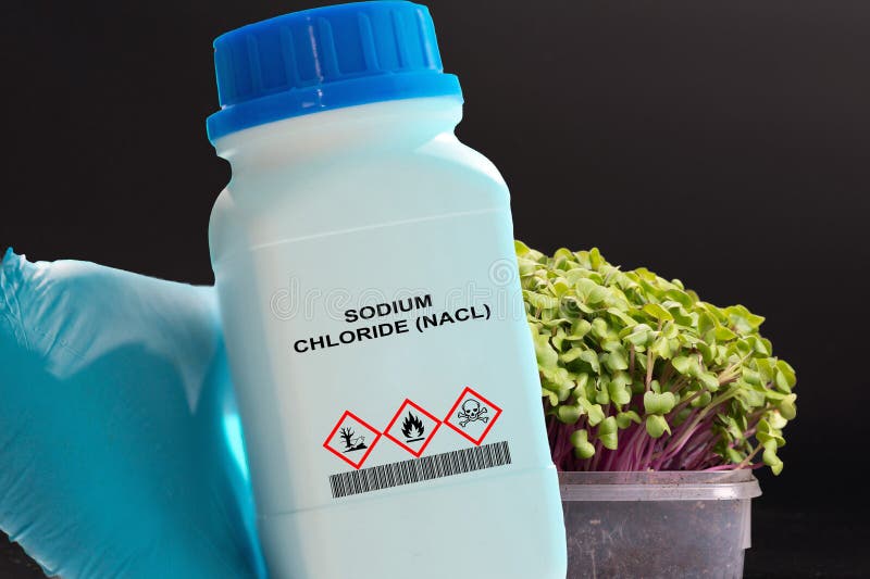 Common Table Salt Used for Seasoning and Preserving Food Stock Photo ... Common Table Salt Used for Seasoning and Preserving Food Stock Photo ...