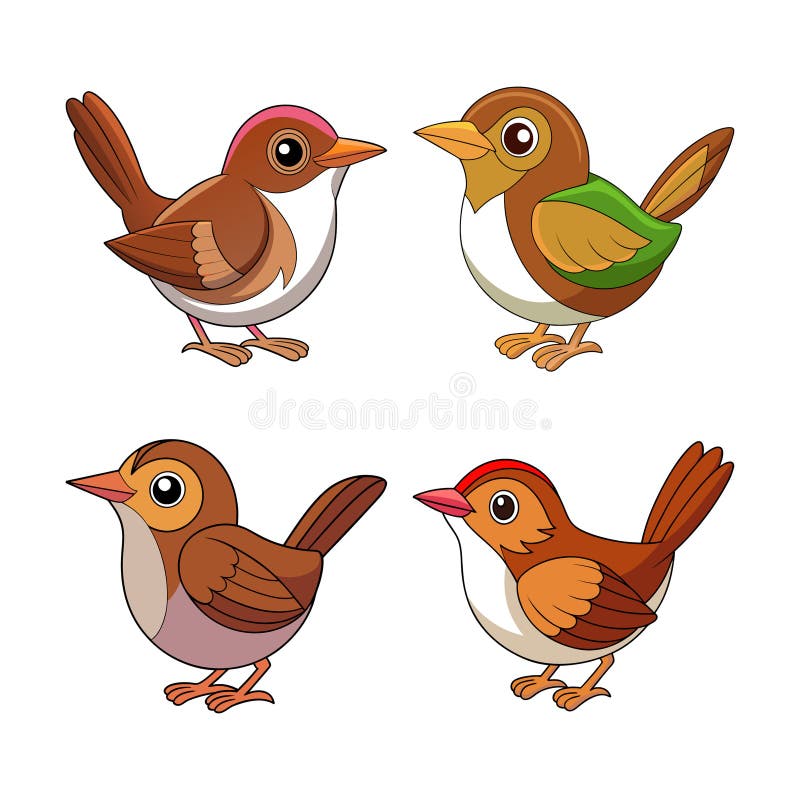 Common Tailorbird Colorful Illustration Stock Vector - Illustration of ...