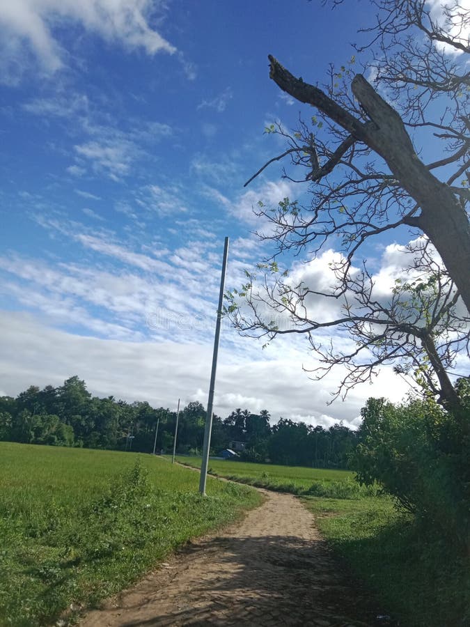 Common village area stock photo. Image of common, beautiful - 377657504