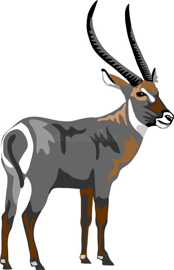 Waterbuck Antelope Stock Illustrations – 41 Waterbuck Antelope Stock ...