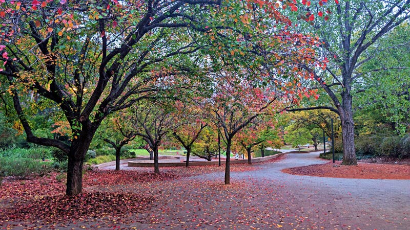 Commonwealth Park Walkway and at Dawn, Canberra , Australia. Stock ...