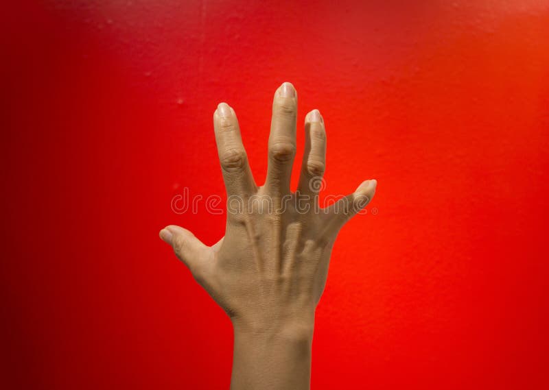 Communicate Signs or Symbols Using Sign Language on a Bright Red ...