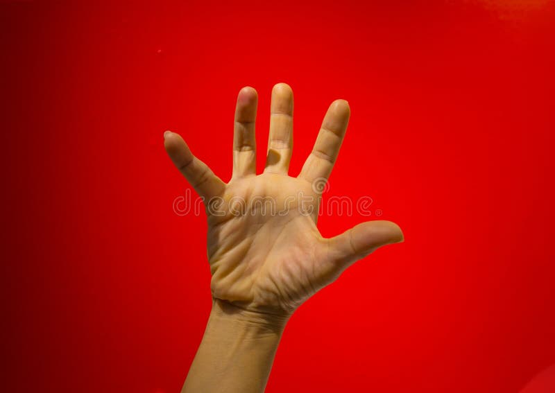 Communicate Signs or Symbols Using Sign Language on a Bright Red ...