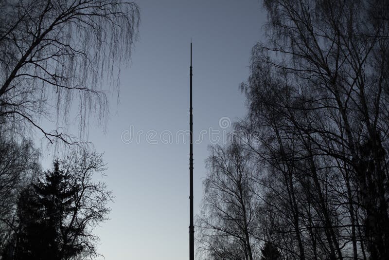 Communication Antenna among Trees. Pillar of Great Height Stock Image ...
