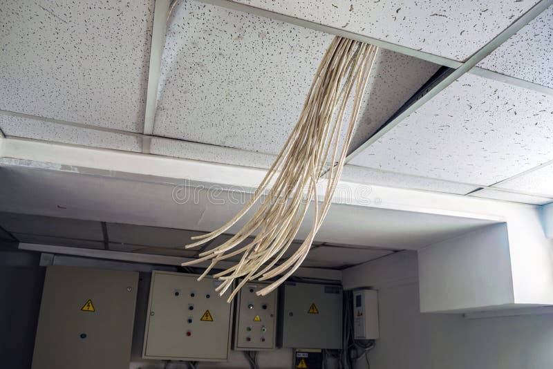 A Bunch of White Wires Hang from the Suspended Ceiling. Communication ...