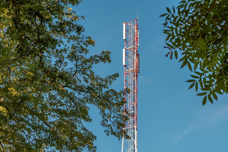 Communication Tower through the Green Trees Foliage Stock Photo - Image ...