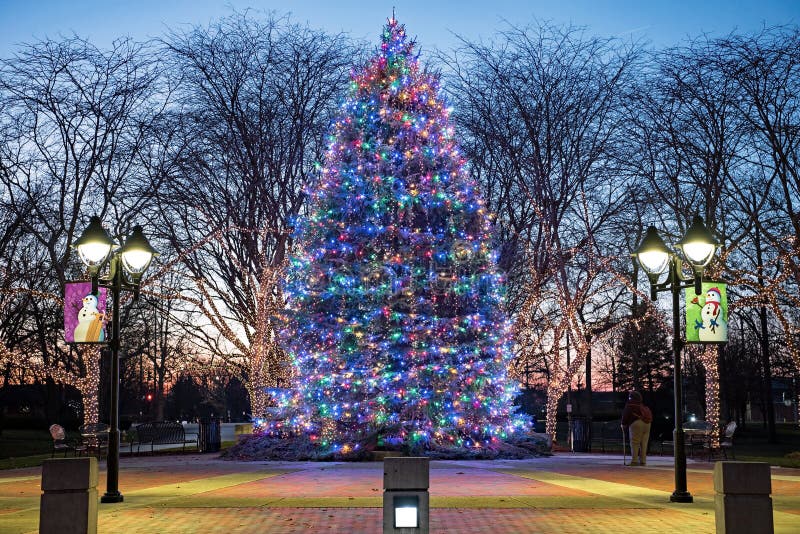 Community Christmas Tree Lighting Display Stock Photo - Image of mini ...
