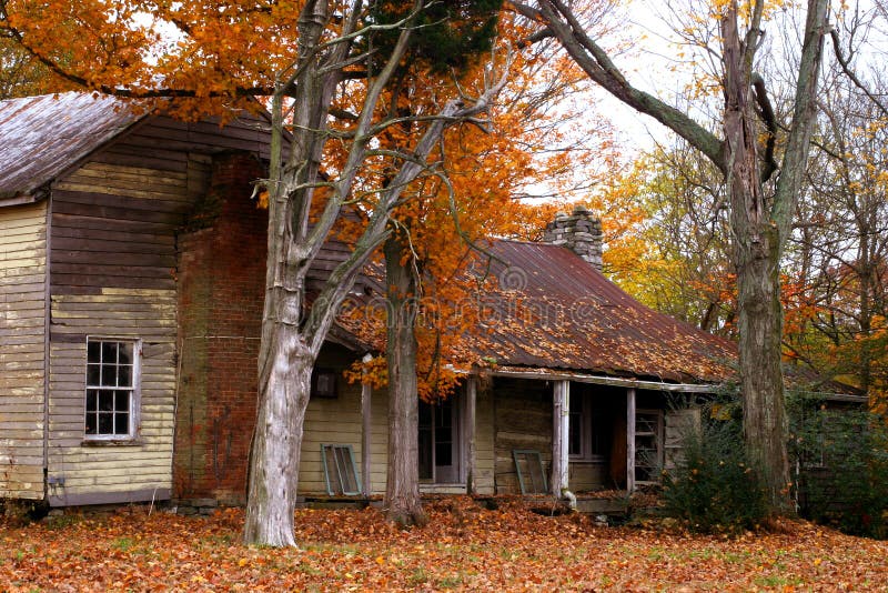 Community color stock image. Image of trees, tennessee - 16644375