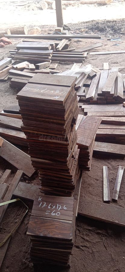 Community Forest Plantation Wood Products Stock Image - Image of wall ...