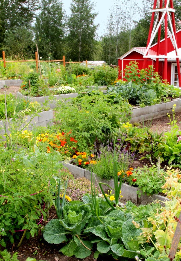 Community Garden Plot stock photo. Image of community - 25278062