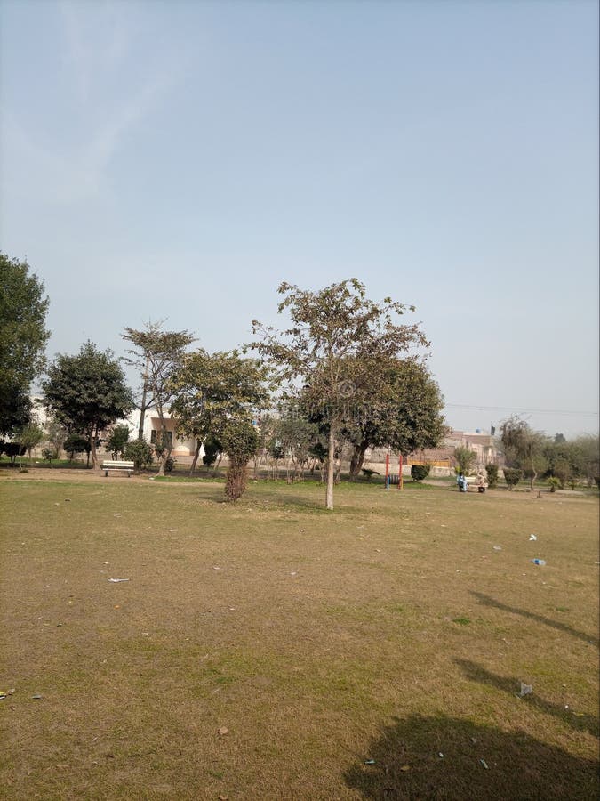 Community Garden with Beautifull Trees Plants and Grass Stock Photo ...