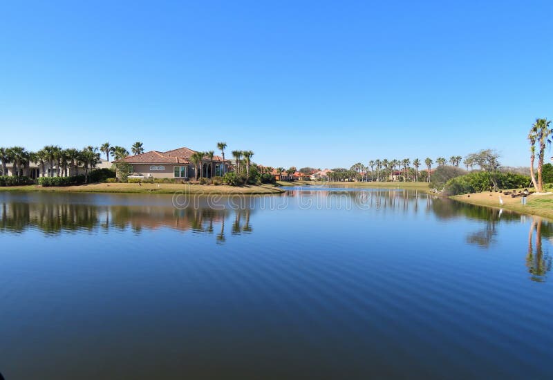 Community Lake in a Residential Area Surrounded by Homes Stock Photo ...